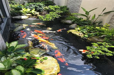 Tổng hợp 10 mẫu bảng vẽ thiết kế hồ cá koi chi tiết