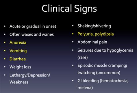 Lecture 2 Hypoadrenocorticism Flashcards Quizlet