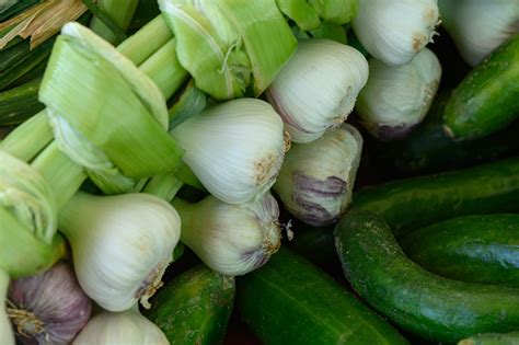 갓 수확한 채소는 이른 아침 햇살이 내리쬐는 북적이는 파머스 마켓에서 생생한 녹색 색조와 파삭파삭한 질감을 보여줍니다 건강한 식생활에 대한 스톡 사진 및 기타 이미지