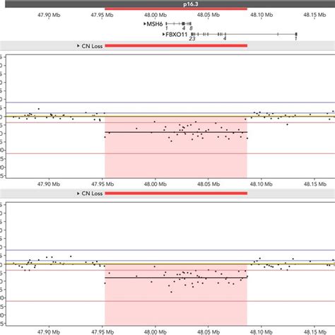 Illumina Cytosnp 850k Snp Array Analyses Revealed A De Novo 134 Kb