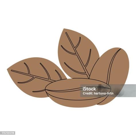 플랫 라인 커피 콩 벡터 일러스트 레이 션 와 커피 테마 와 평평한 선 벡터 스타일 0명에 대한 스톡 벡터 아트 및 기타 이미지