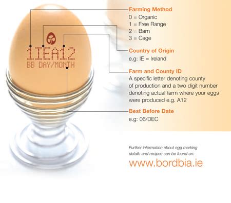 Voetprint Cooking Egg Voetprint Cooking