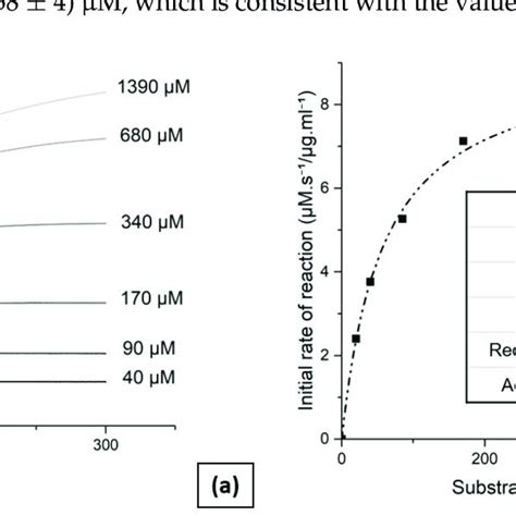 a continuous measurement showing the output voltage of the