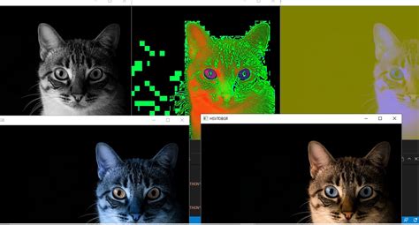 Github Deshpandetejaswini Applications Of Opencv Including Face Detection This Project