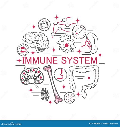 Immune System Icon Set Stock Vector Illustration Of Body 91440806