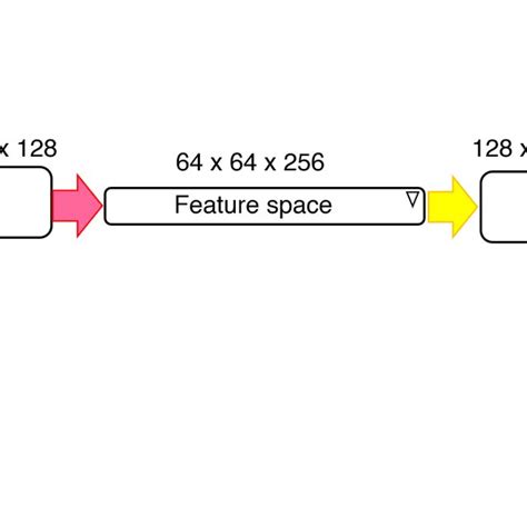 Structure Of The Convolutional Autoencoder Used In The Anomaly Download Scientific Diagram
