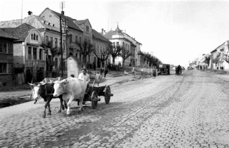 Muzeul Etnografic Anton Badea Reghin 𝐈𝐦𝐚𝐠𝐢𝐧𝐢 𝐝𝐢𝐧 𝐑𝐞𝐠𝐡𝐢𝐧𝐮𝐥 𝐯𝐞𝐜𝐡𝐢 𝐒𝐭𝐫𝐚𝐝𝐚 𝐌𝐢𝐡𝐚𝐢 𝐕𝐢𝐭𝐞𝐚𝐳𝐮 𝟏𝟗𝟔𝟒