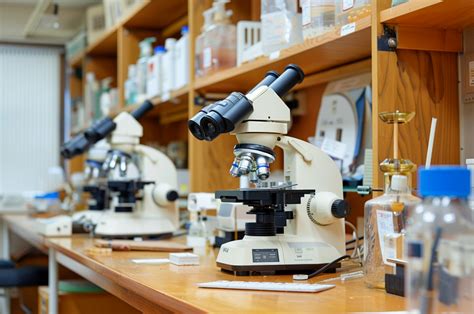 深入解析：基因表达与细胞信号通路的相互作用及其在疾病治疗中的应用 海龟派