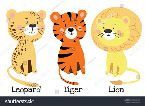 Lion Leopard Tiger