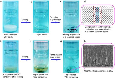 Schematic Illustration For The Confined Space Synthesis Of Tio2 Download Scientific Diagram