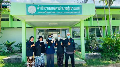 เกษตรทุ่งยางแ สำนักงานเกษตรอำเภอทุ่งยางแดง จังหวัดปัตตานี