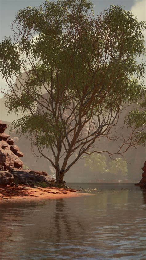 A Lake With Trees Painting 45855203 Stock Video At Vecteezy