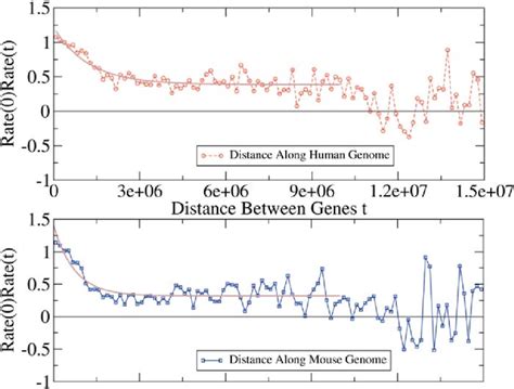 Correlation Length Analysis Of Substitution Rates Correlation Of Download Scientific Diagram