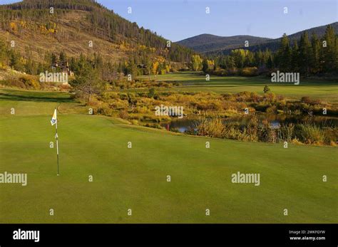 A Scenic Pond With Surrounding Trees On The Edge Of A Golf Course