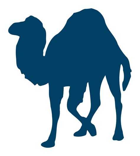 Supported Languages And Package Managers