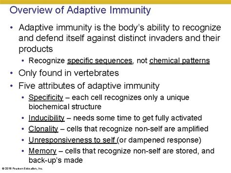 Microbiology Chapter Adaptive Immunity Pearson Education