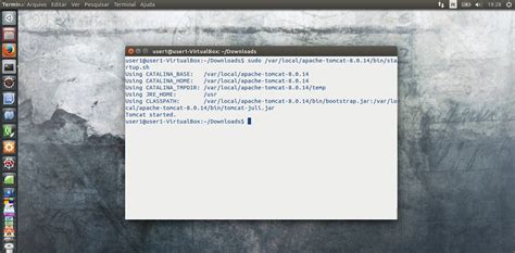 Apache Tomcat Java Servlet E Java Server Pages Linux Desenvolvimento Código Aberto
