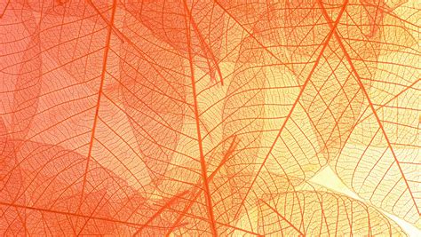 Process Performance Added A New Photo Process Performance