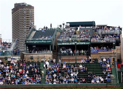 Los Cubs Implantan Medida Para Evitar Colados Grupo Milenio