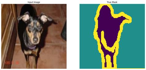 Dataset For Image Segmentation Quyasoft