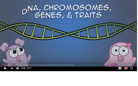 Introduction Optogenetics