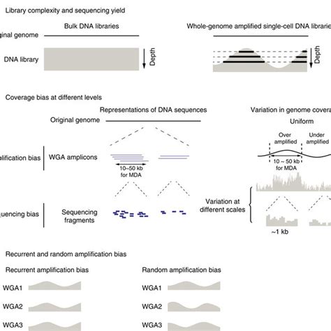Non Uniformity In Genome Coverage And Its Impact On The Sequencing Download Scientific Diagram