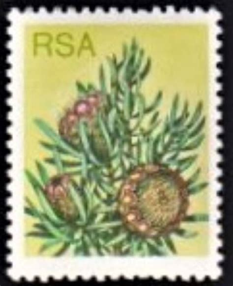 Rsa 1977 6c Protea Value Omitted Eastgate Stamps And Coins