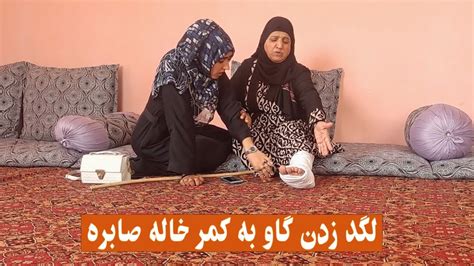لگد زدن گاو به کمر خاله صابره بیننده باشید Youtube