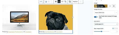 How To Use The Kadence Advanced Image Block WordPress Basics Guide