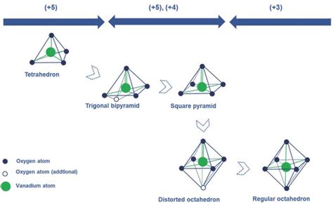 Metamorphosis Of The Vanadium Coordination Polyhedra Vo Bonds With Download Scientific Diagram