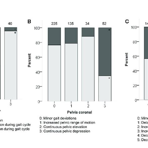 Topographical Classification Associated Moderately With A Pelvis