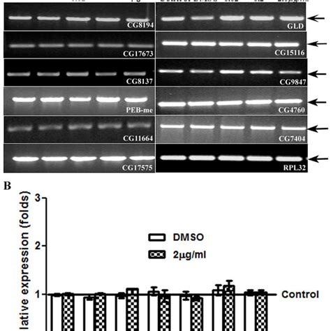 determination of transcript levels of candidate genes encoding