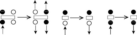 Figure 2 From Quantum Cluster Algorithm For Frustrated Ising Models In A Transverse Field
