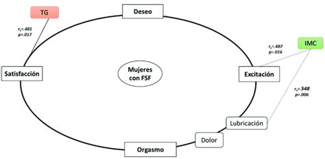 Mujeres con Función Sexual Femenina FSF Fuente Elaboración propia Download Scientific