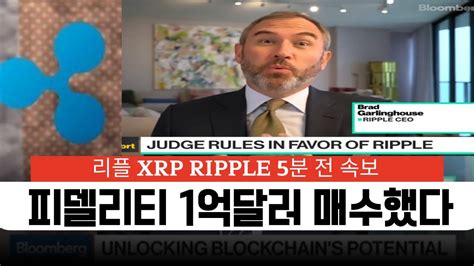 리플코인 방금 전 속보 피델리티 1억달러 매수했다 초대박 호재에 진짜 대박날 3가지 이유 리플 리플전망 리플분석 리플호재 Xrp Youtube