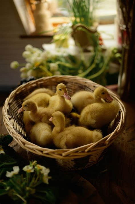 Telegraphcutegirls Photos Download The Best Free Telegraphcute