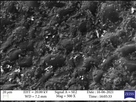 Sem Of Al Mg Zn 1 Wt Nano Sic Sample 1 Download Scientific Diagram