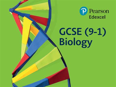 Gcse Edexcel Biology Revision Textbooks Bundle Teaching Resources