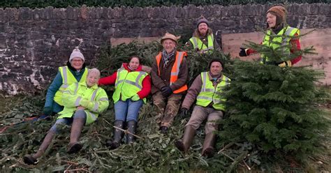 Shdc Launches New Community Composting Scheme In Marldon South Devon News