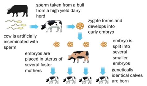 Biology U2aos2 How Do Inherited Adaptations Impact On Diversity Flashcards Quizlet