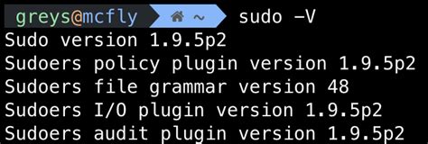 Patched Sudo Privilege Escalation Vulnerability Cve 2021 3156