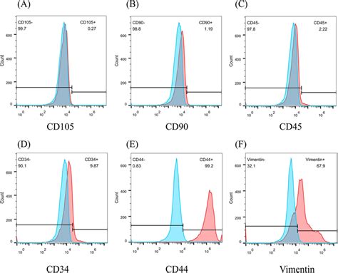 Rabbit Dpscs Surface Marker Expression Rabbit Dpscs Negatively
