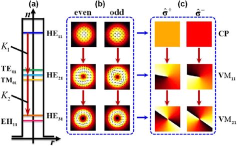 A Schematic Of The Refractive Index Profile Of A FMF Denoted With Download Scientific Diagram