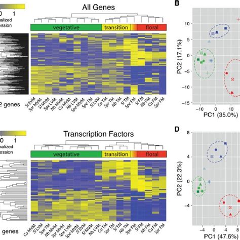 Clustering And Principal Component Analysis PCA Of Dynamically