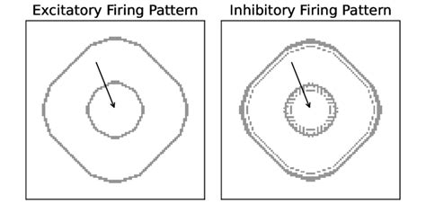 Activity Patterns Of The Excitatory And Inhibitory Neurons On A 101 ×
