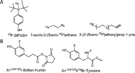 Fluorine 18 18 F And Halogenation Prosthetic Groups A 18 F Is The Download Scientific