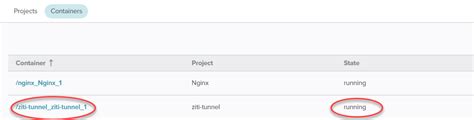 Deploy Ziti Tunnel Endpoint Container On Supported Cradlepoint Router Netfoundry