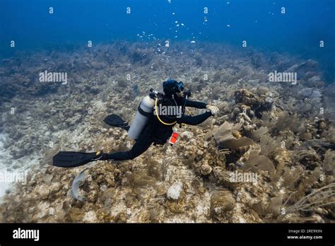 Side View Of Scuba Diver Swimming Underwater With Bubbles While Exploring Deep Clear Sea During