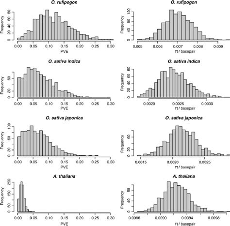 Results From Forward Genetic Simulation Of Indel Associated Mutation