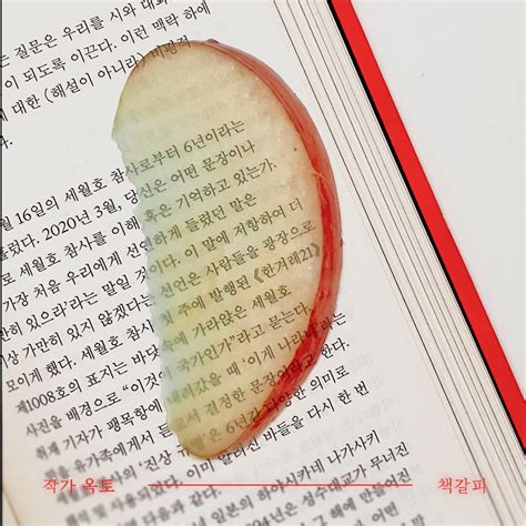파도 작가 옥토 책갈피 [ 사과 조각 ] 위시버킷